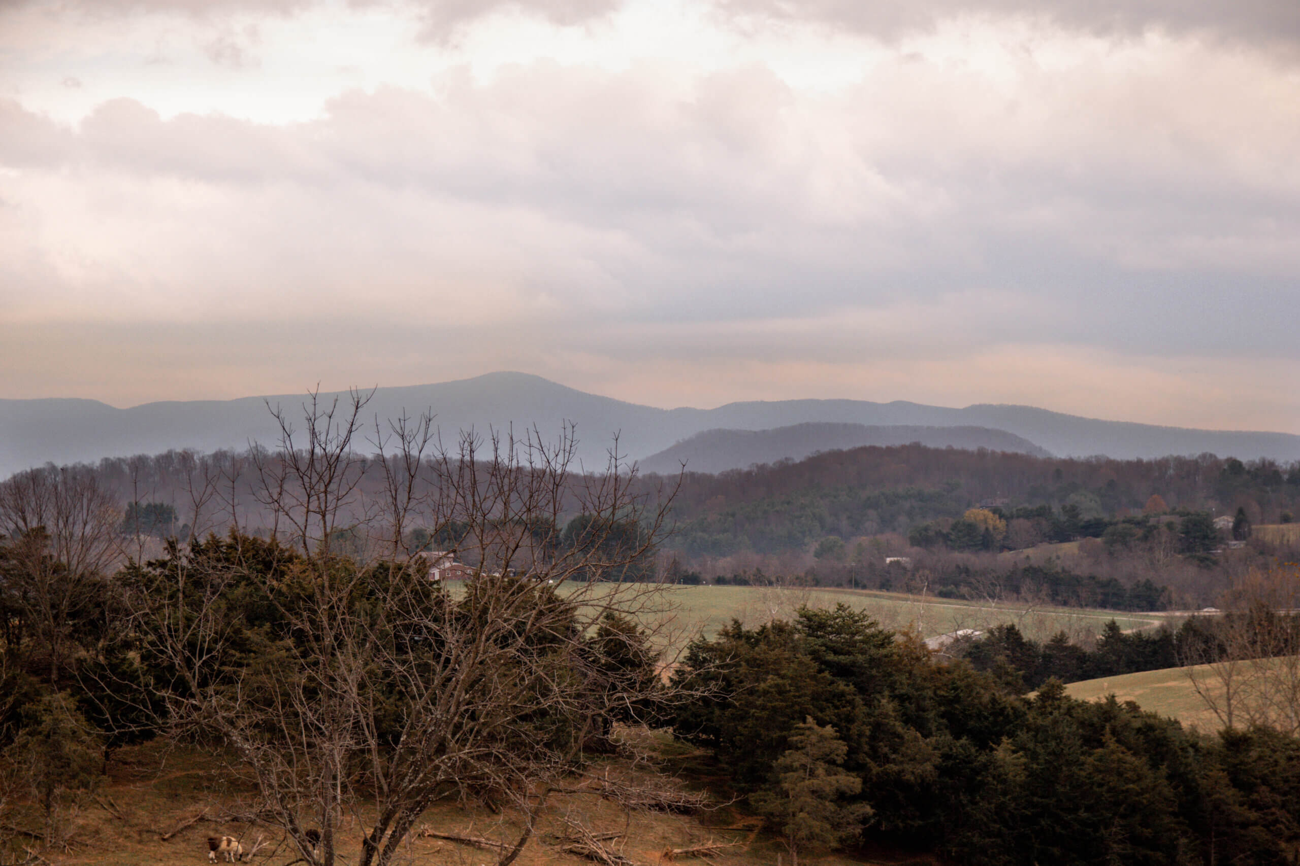 10 Incredible Day Trips To Take In Virginia - A Sip of Tee