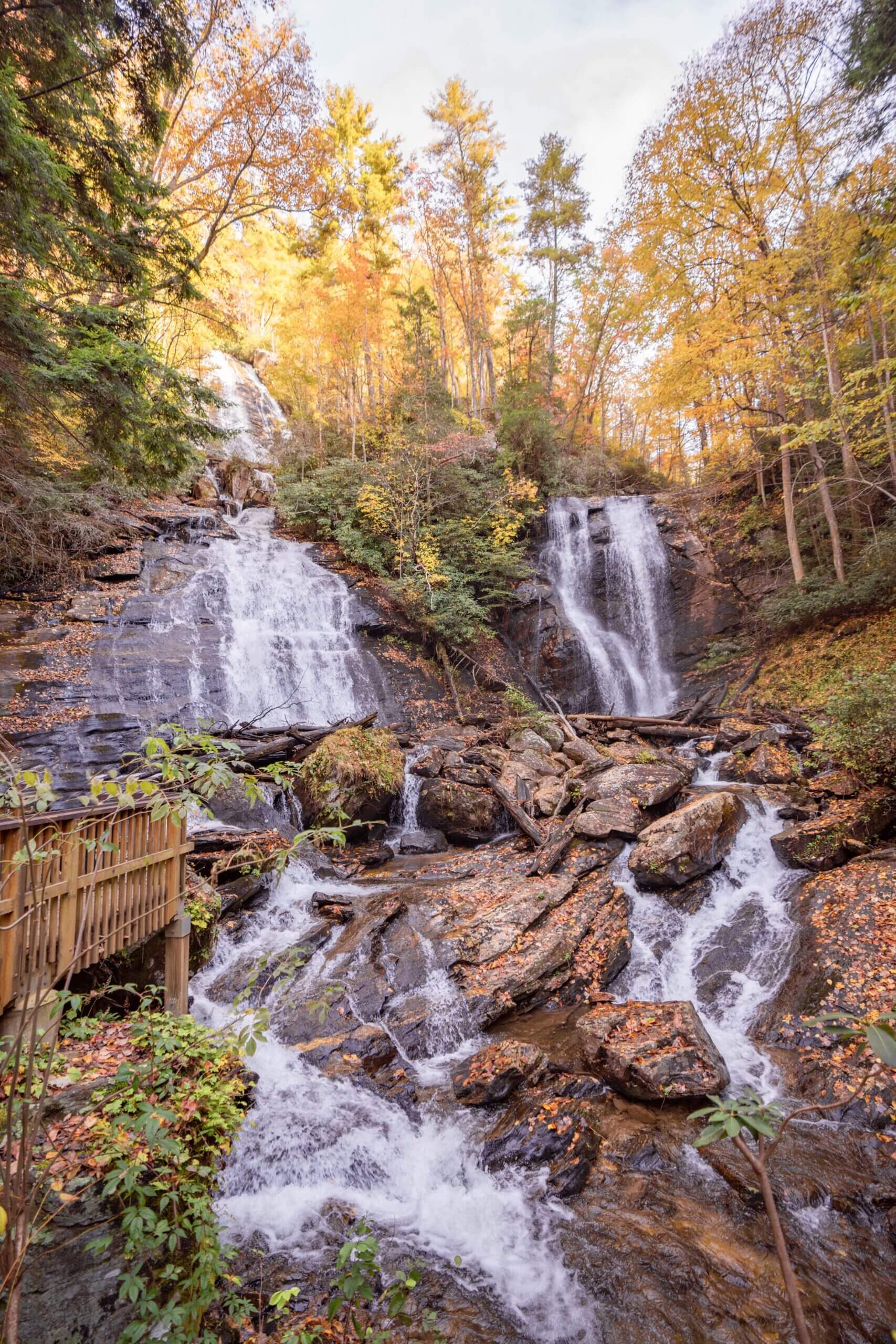 Explore the Anna Ruby Falls Trail in Georgia - A Sip of Tee