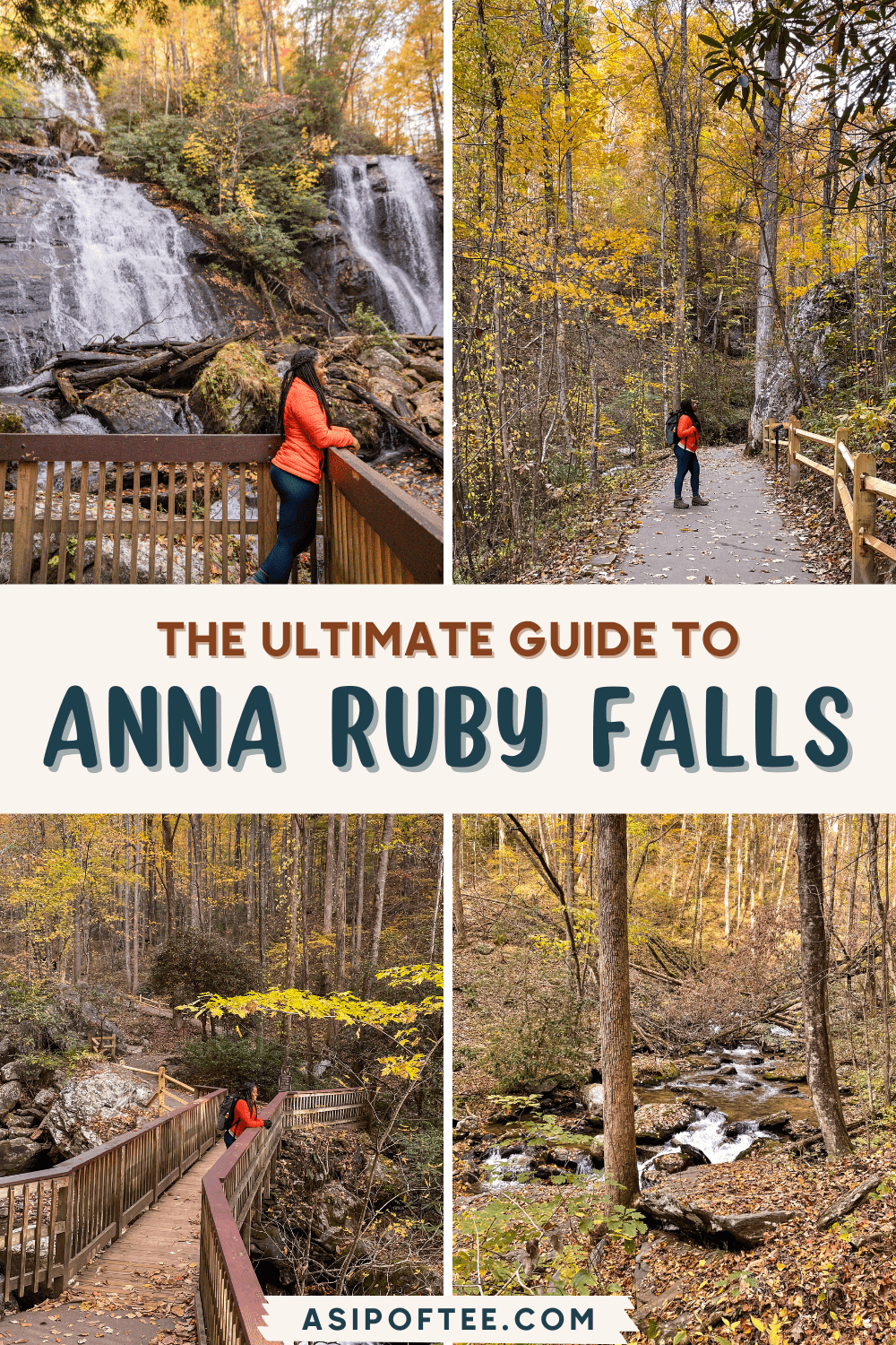Explore the Anna Ruby Falls Trail in Georgia - A Sip of Tee