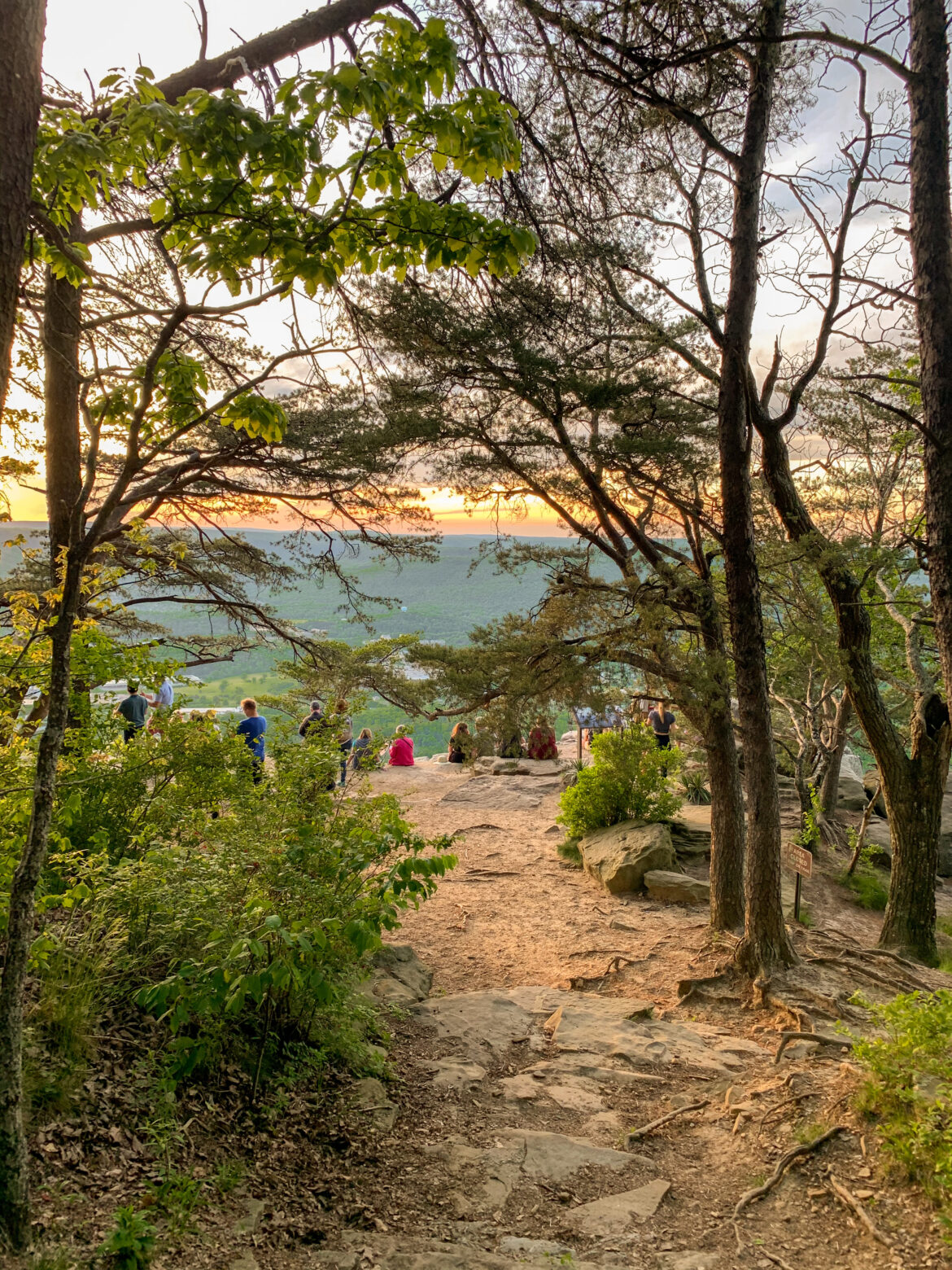 21 Things to do in Chattanooga, TN (For Outdoor Lovers!) - A Sip of Tee