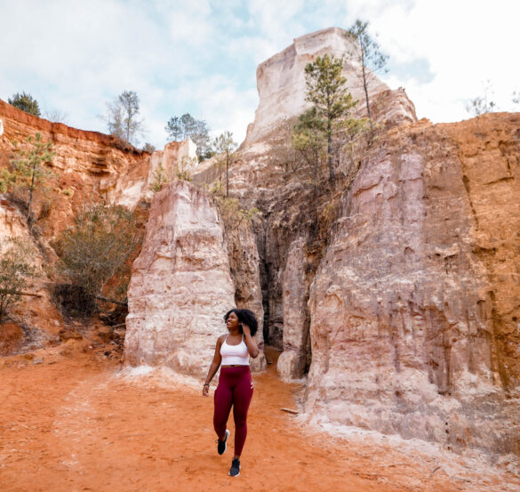 11 Best State Parks in Georgia for Nature Lovers