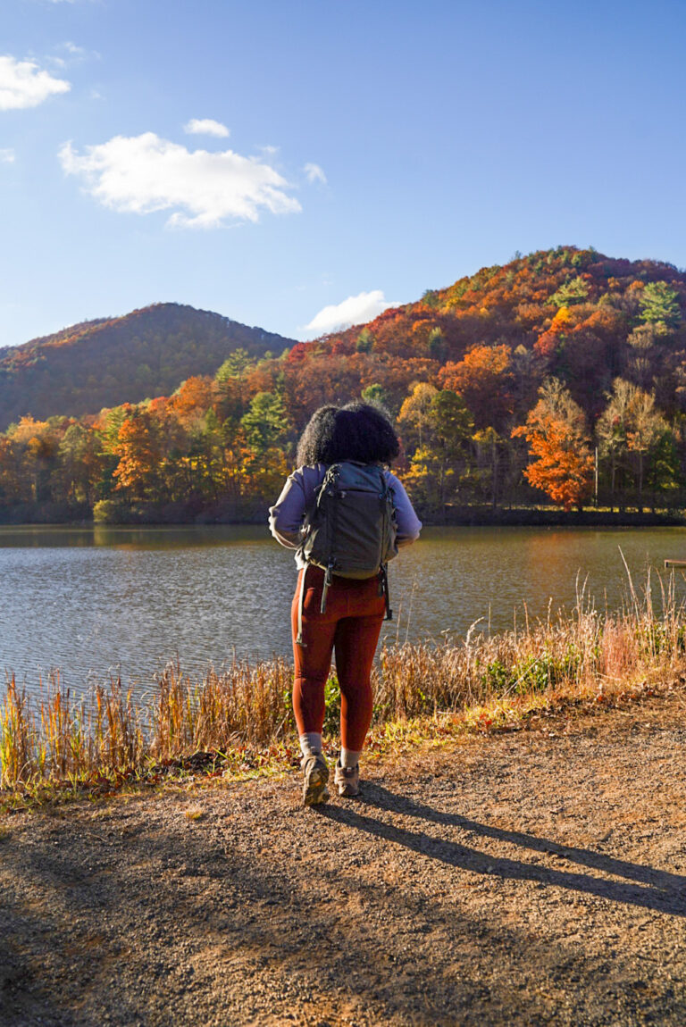 11 Best State Parks in Georgia for Nature Lovers