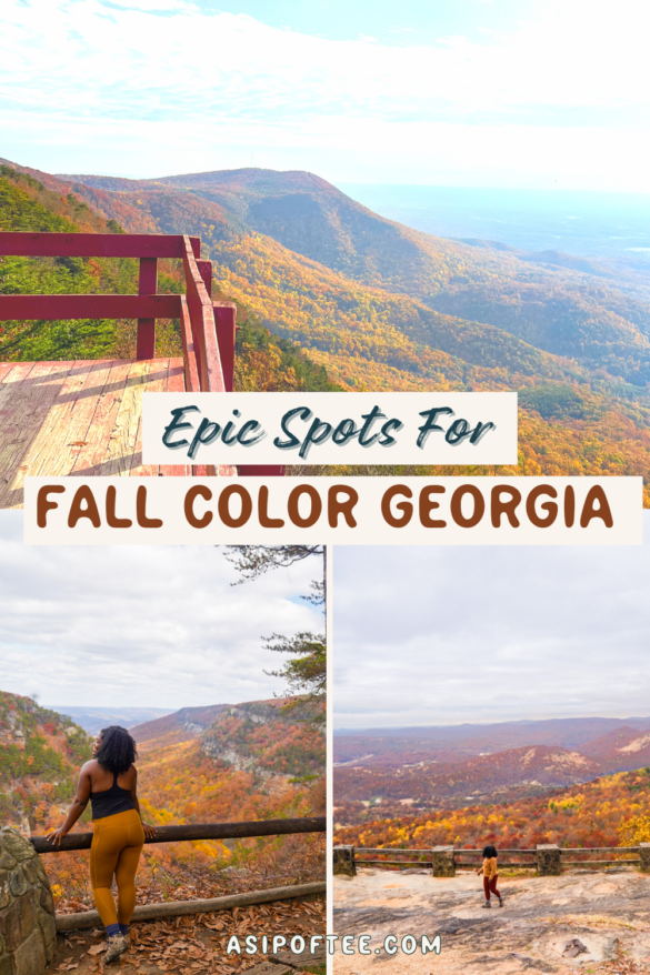 12 Magical Places to See Fall Colors in Georgia 2025
