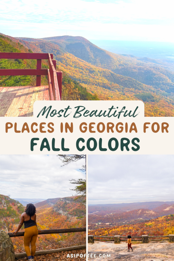 12 Magical Places to See Fall Colors in Georgia 2025