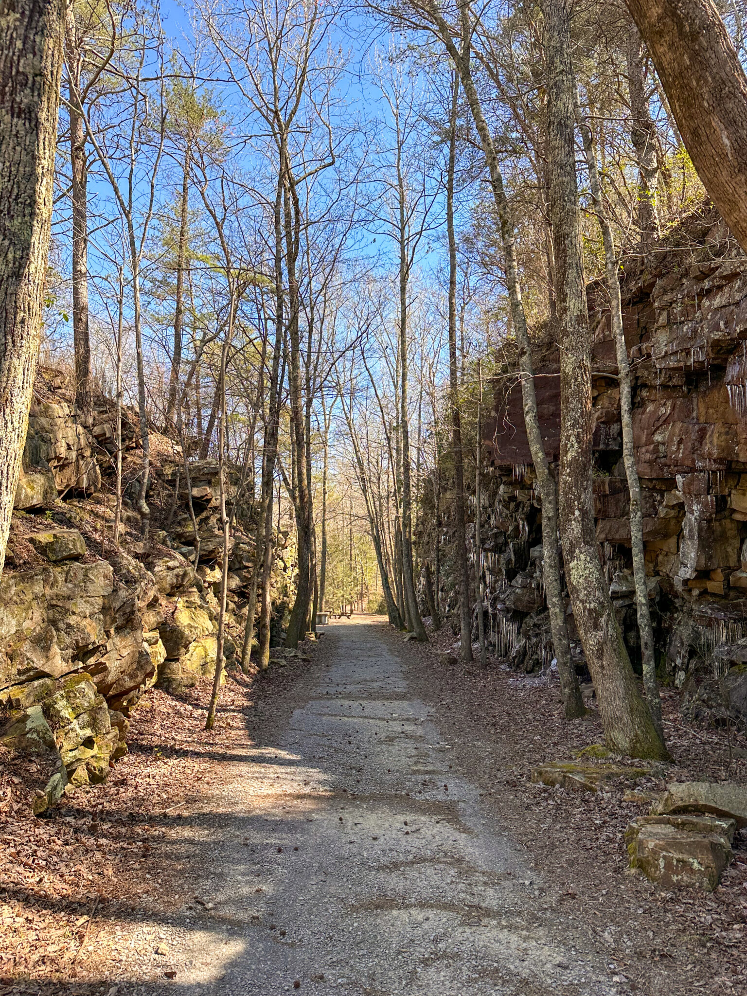 Discover the Beautiful Waterfalls at Lula Lake Land Trust