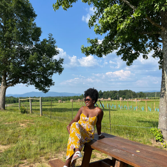 Exploring Preacher's Rock: The Perfect Day Hike in North Georgia - A ...